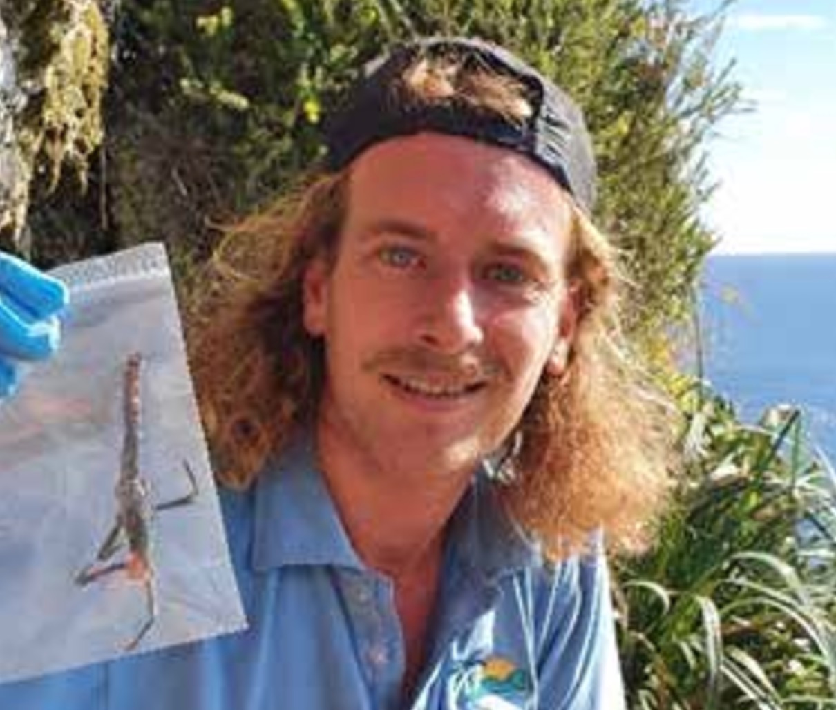 Profiling the Lord Howe Island Phasmid